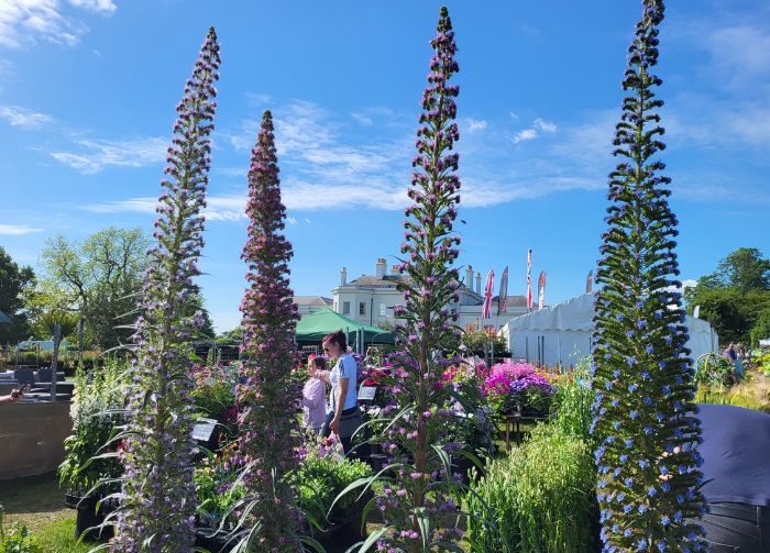 Show Info - The National Flower Show
