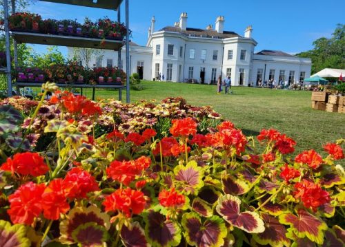 Show Info - The National Flower Show