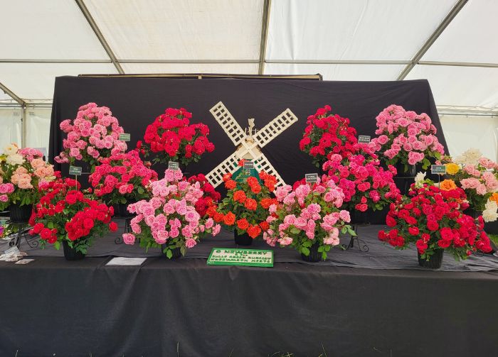 PLANTS, PLANTS, PLANTS! - The National Flower Show