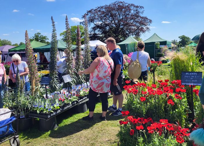 PLANTS, PLANTS, PLANTS! - The National Flower Show